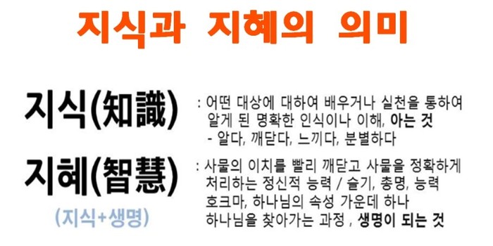 인생의 불빛이 되어 주는 지혜