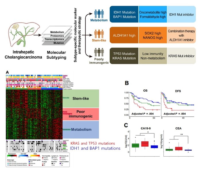 한국기초과학지원연구원, '2023 KBSI인(人)' 김진영 연구원 선정..."여성과학자로 기뻐"